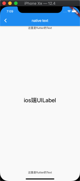 GitHub - loosaSH/flutter-PlatformView
