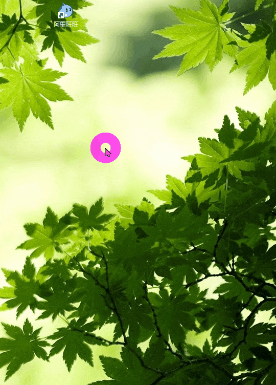 360极速浏览器更新到最新版本后无法加载alissologin Plugin360社区